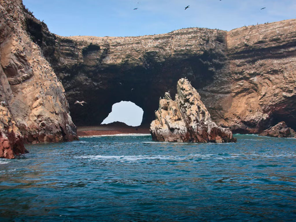 Islas Ballestas y Reserva Nacional de Paracas - Tari Tours Peru