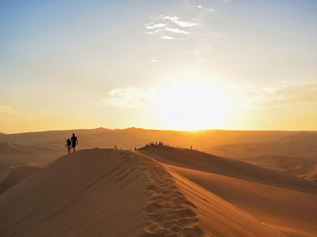 Ica tour día completo - Tari Tours Peru